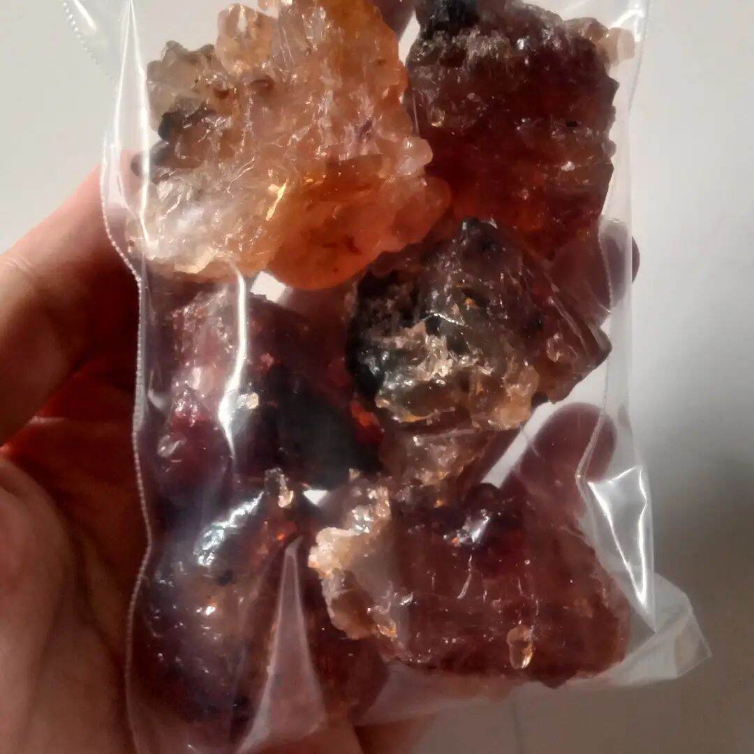 Getah katilayu asli dari pohonnya bahan essen untuk mancing semu jenis ...