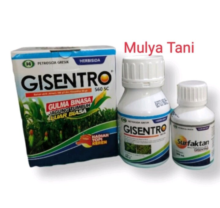 Gisentro 560Sc kemasan 250ml Herbisida Pengendali Gulma Pengganggu ...