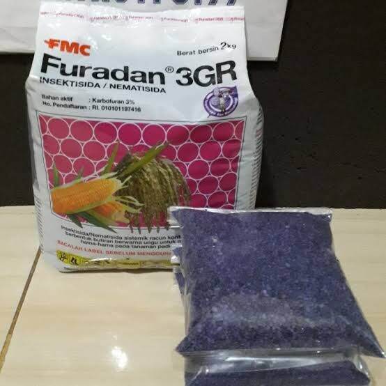 Insektisida atau Nematisida Furadan 3 GR Pengendali Hama Tanah | Lazada ...