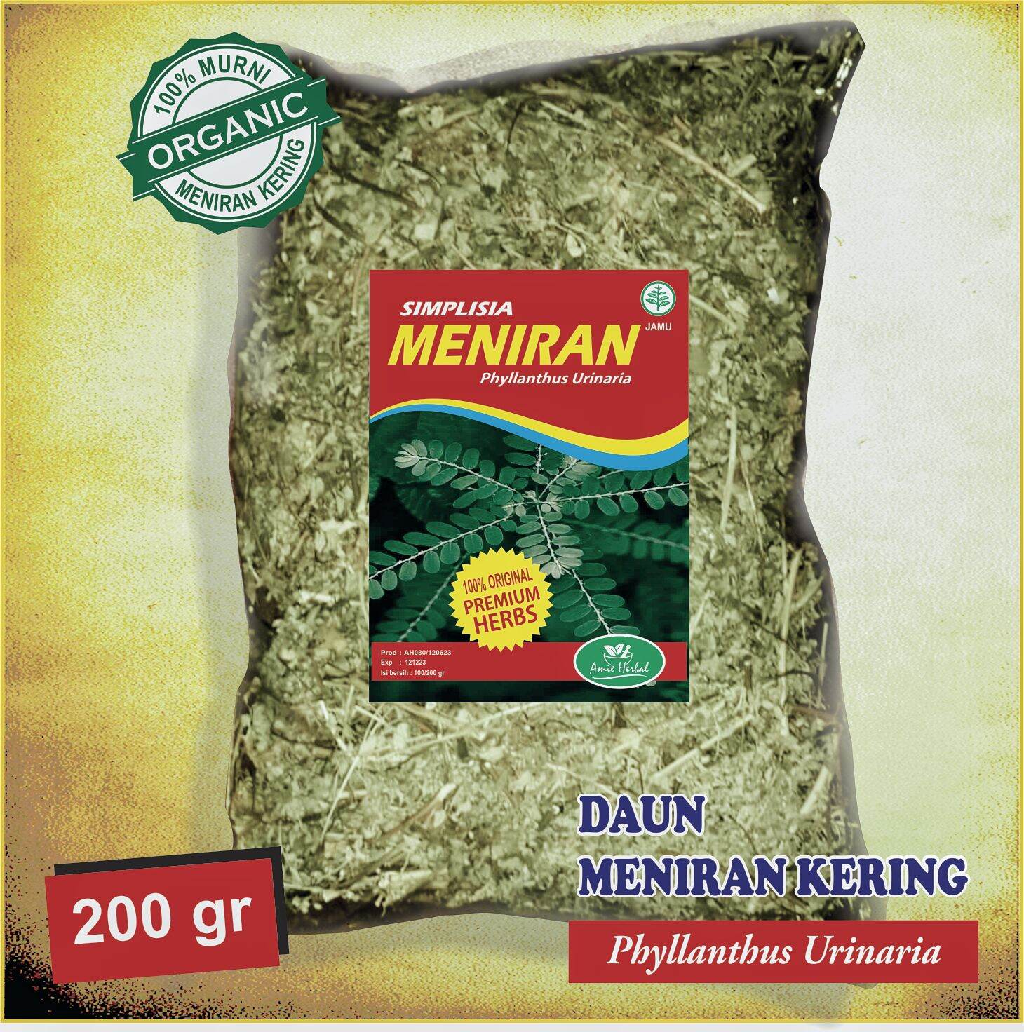 daun meniran/daun meniran kering/Phyllanthus Urinaria. 200 gram ...