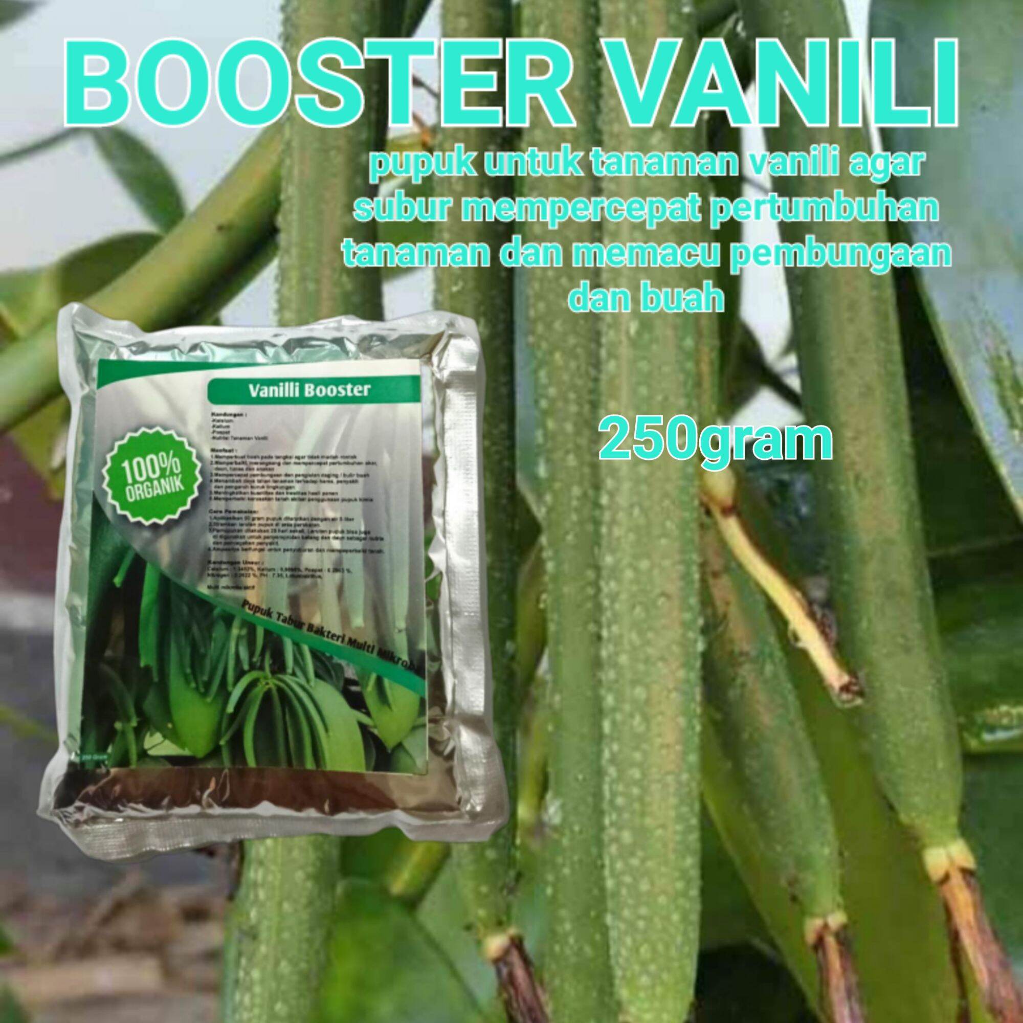 Pupuk booster untuk tanaman vanili agar cepat berbuah menambah ...