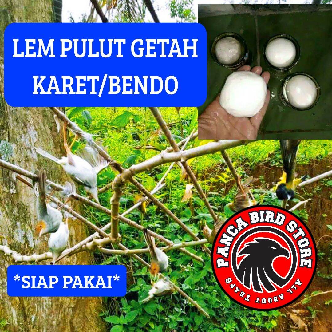 Pulut Burung Getah Karet Asli 15 gr Lem Super Rekat Lengket Anti Lepas ...