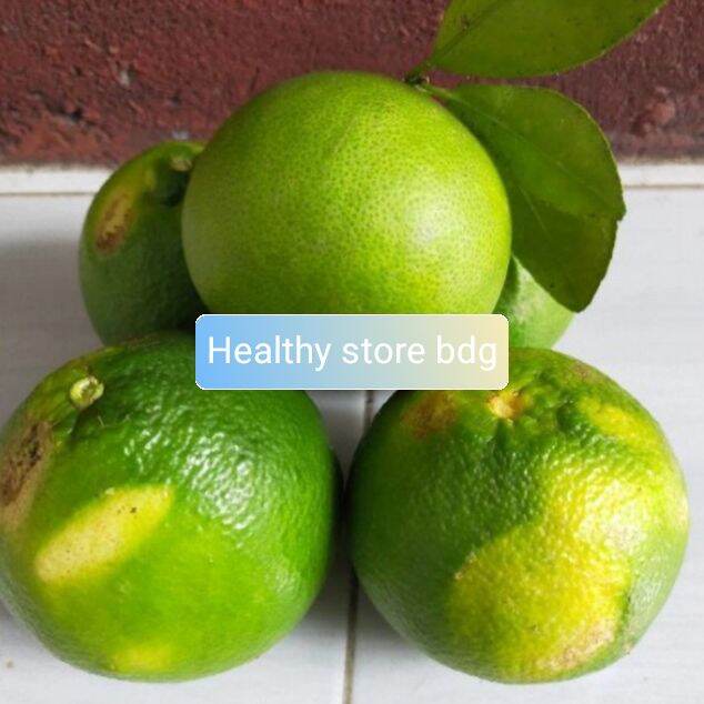 Buah Jeruk garut mini matang 1 kg | Lazada Indonesia