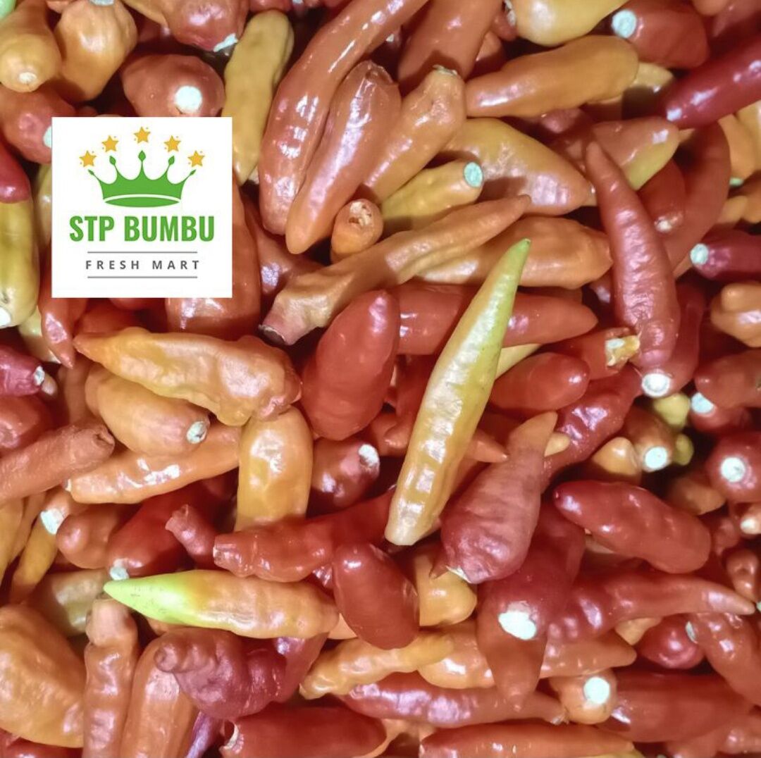 Cabe Rawit Merah PETIK TANGKAI Segar 1kg / Cabai | Lazada Indonesia