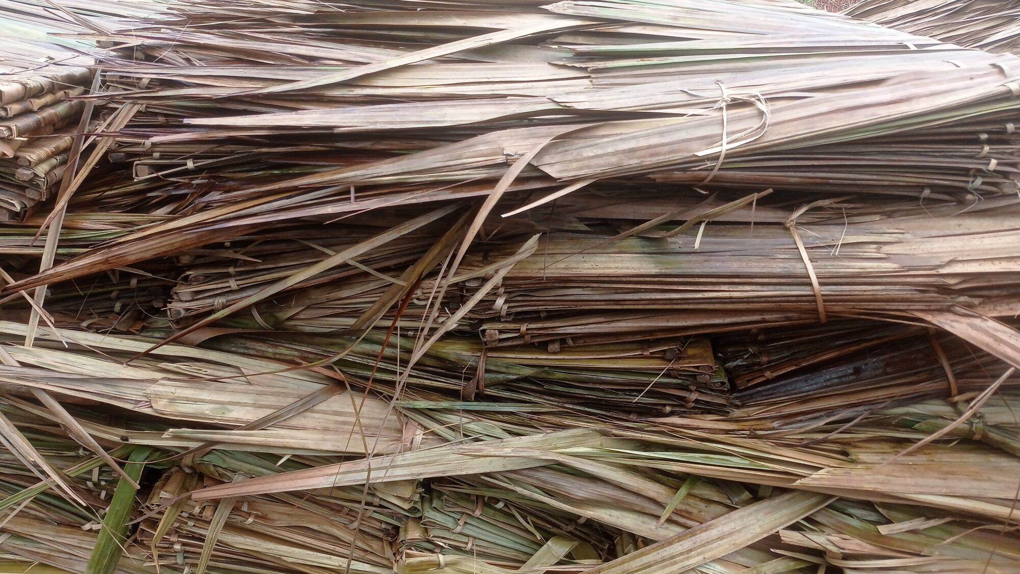 ATAP ALANG-ALANG DAN ATAP RUMBIA ISI 10 LEMBAR MURAH | Lazada Indonesia