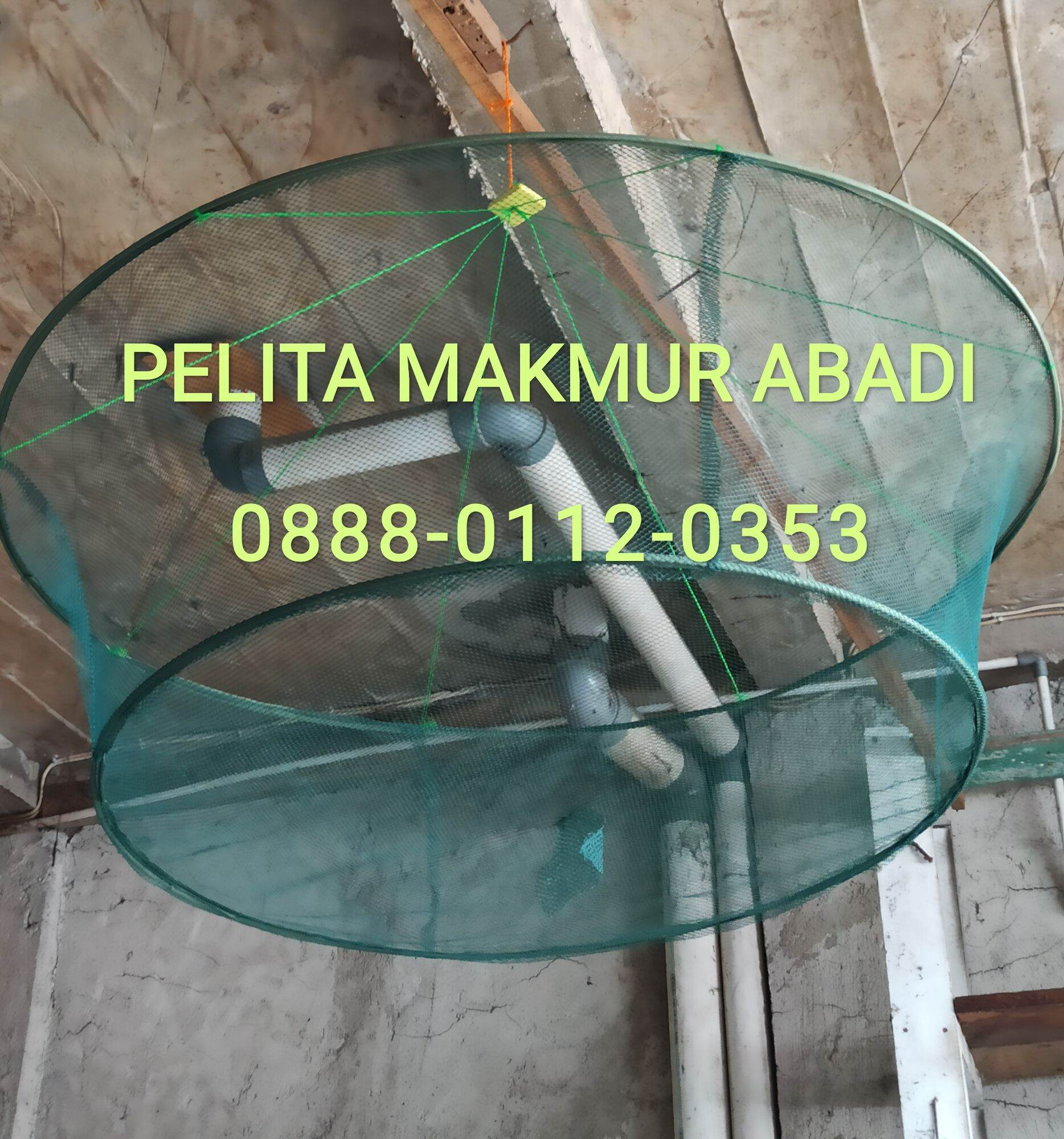 Bubu Anco Udang | Lazada Indonesia