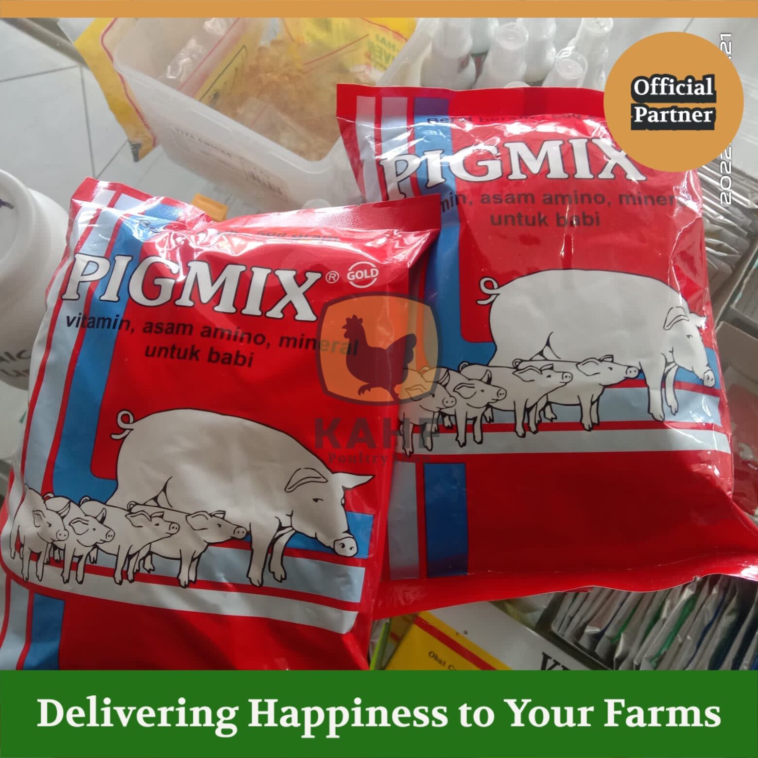 Pigmix 500 gram - Premix Medion Vitamin Asam Amino Mineral untuk Babi | Lazada Indonesia