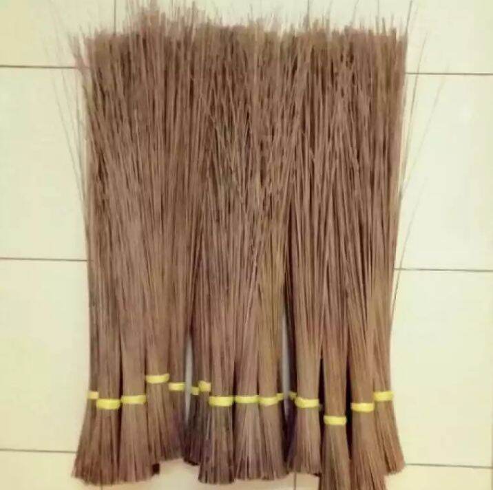 SAPU LIDI UNTUK HALAMAN/TAMAN/KEBUN DARI POHON KELAPA ASLI | Lazada ...