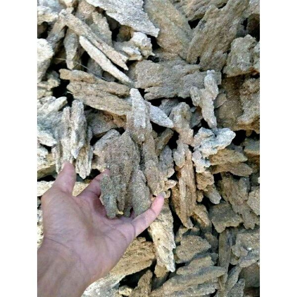 Batu Pasir Sandstone 1 kg Aquascape Paludarium | Lazada Indonesia