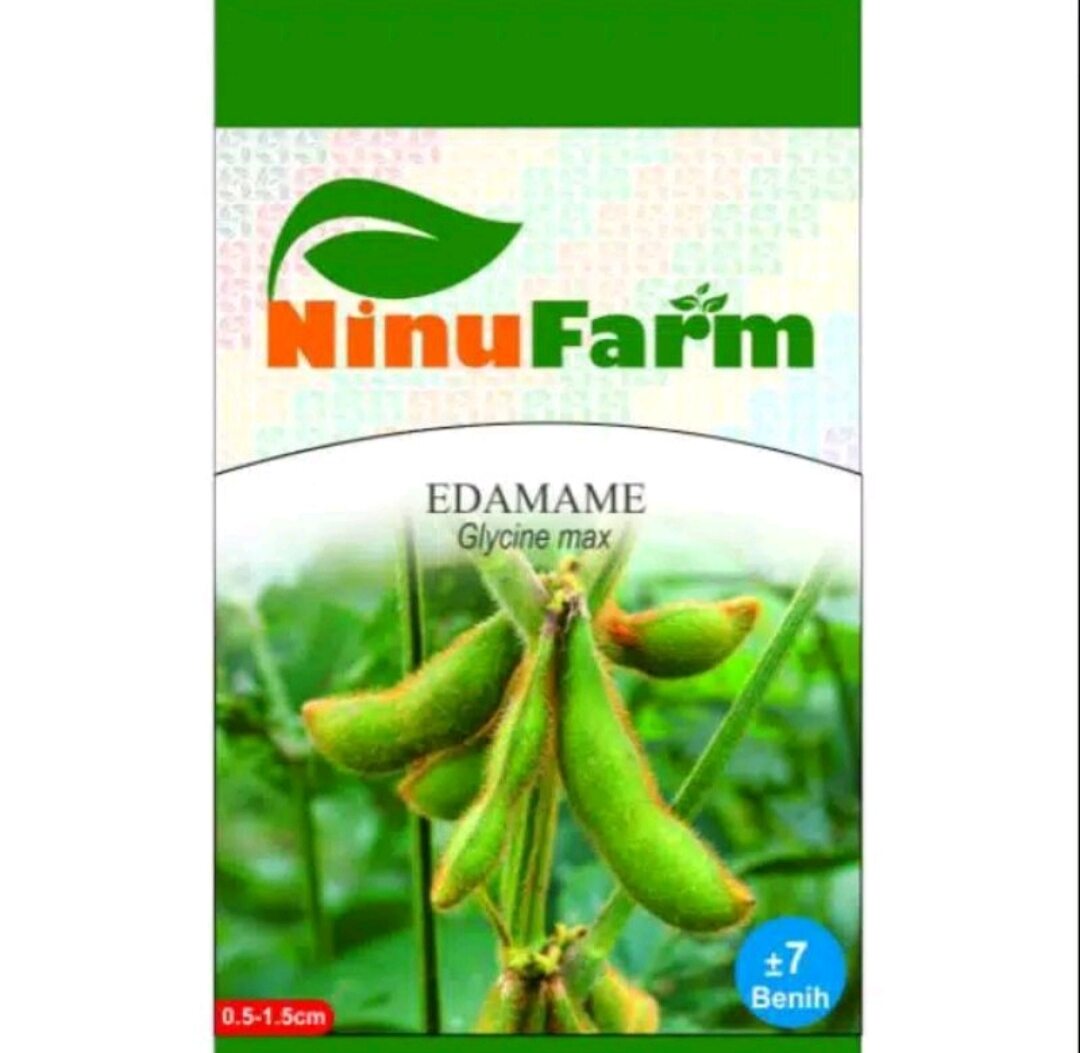 Benih EDAMAME/ KACANG EDAMAME | Lazada Indonesia