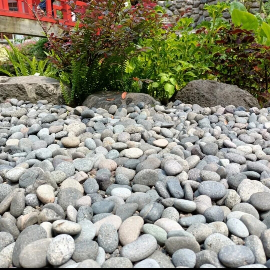 Batu coral hitam 1 kg, batu taman hitam, batu aquarium | Lazada Indonesia