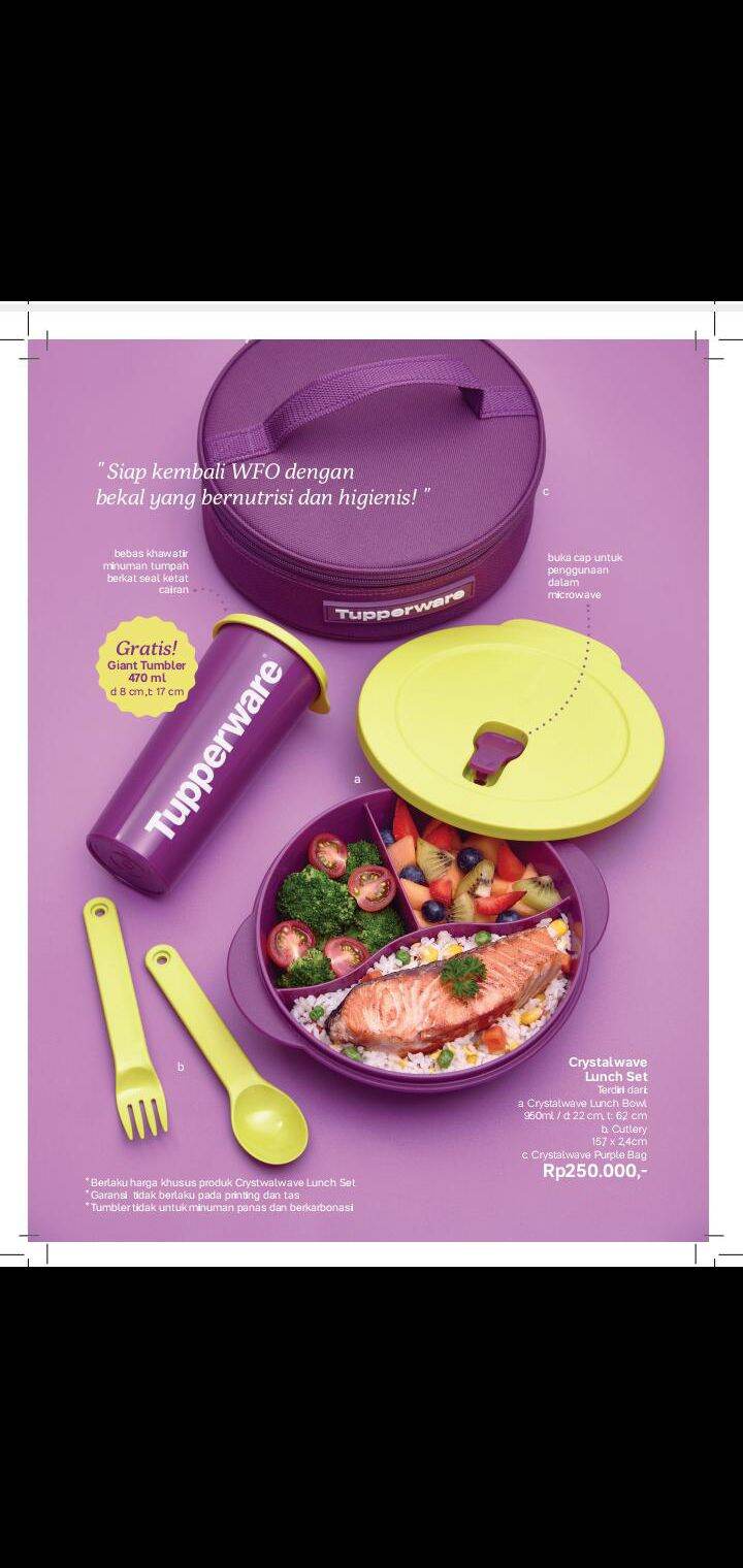 Tupperware Lunch box set | Lazada Indonesia