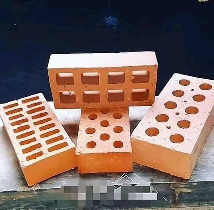 Bata Expose Bata Bolong | Lazada Indonesia