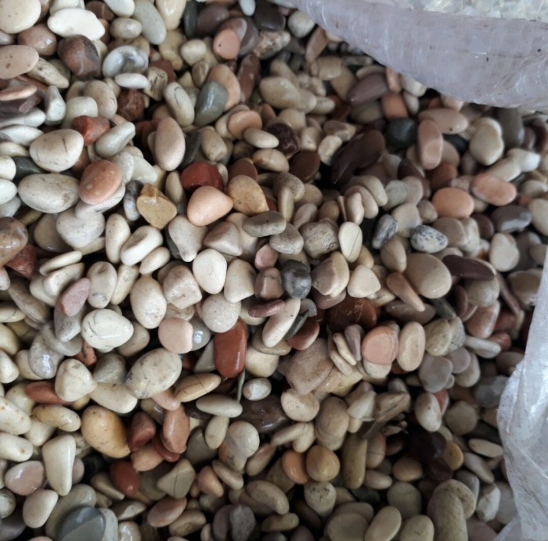 Batu coral putih kecil 1 kg, batu taman kecil, batu sikat, batu teras ...