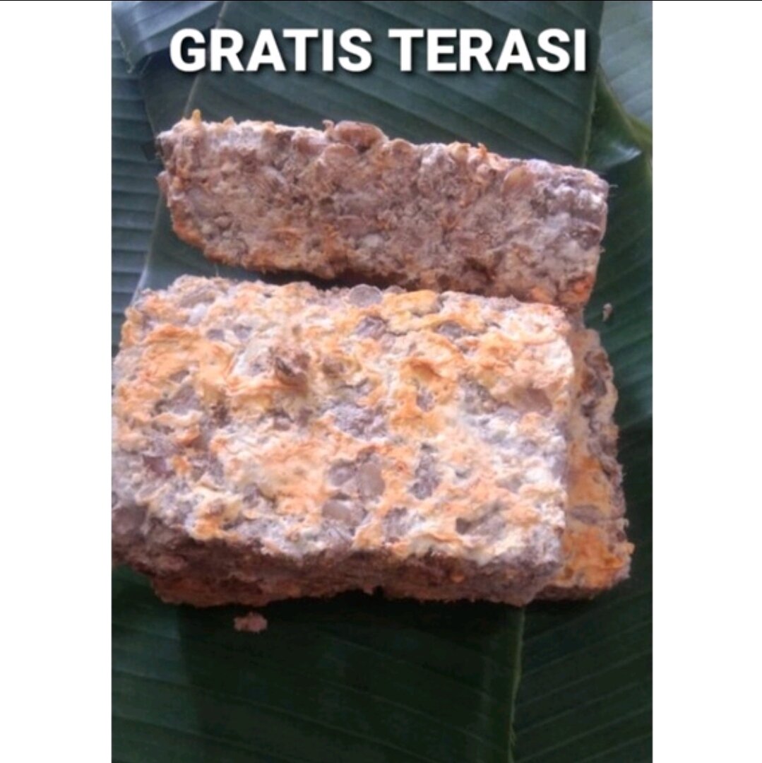 Oncom 2 papan Dage khas cirebon ENAK GRATIS terasi | Lazada Indonesia