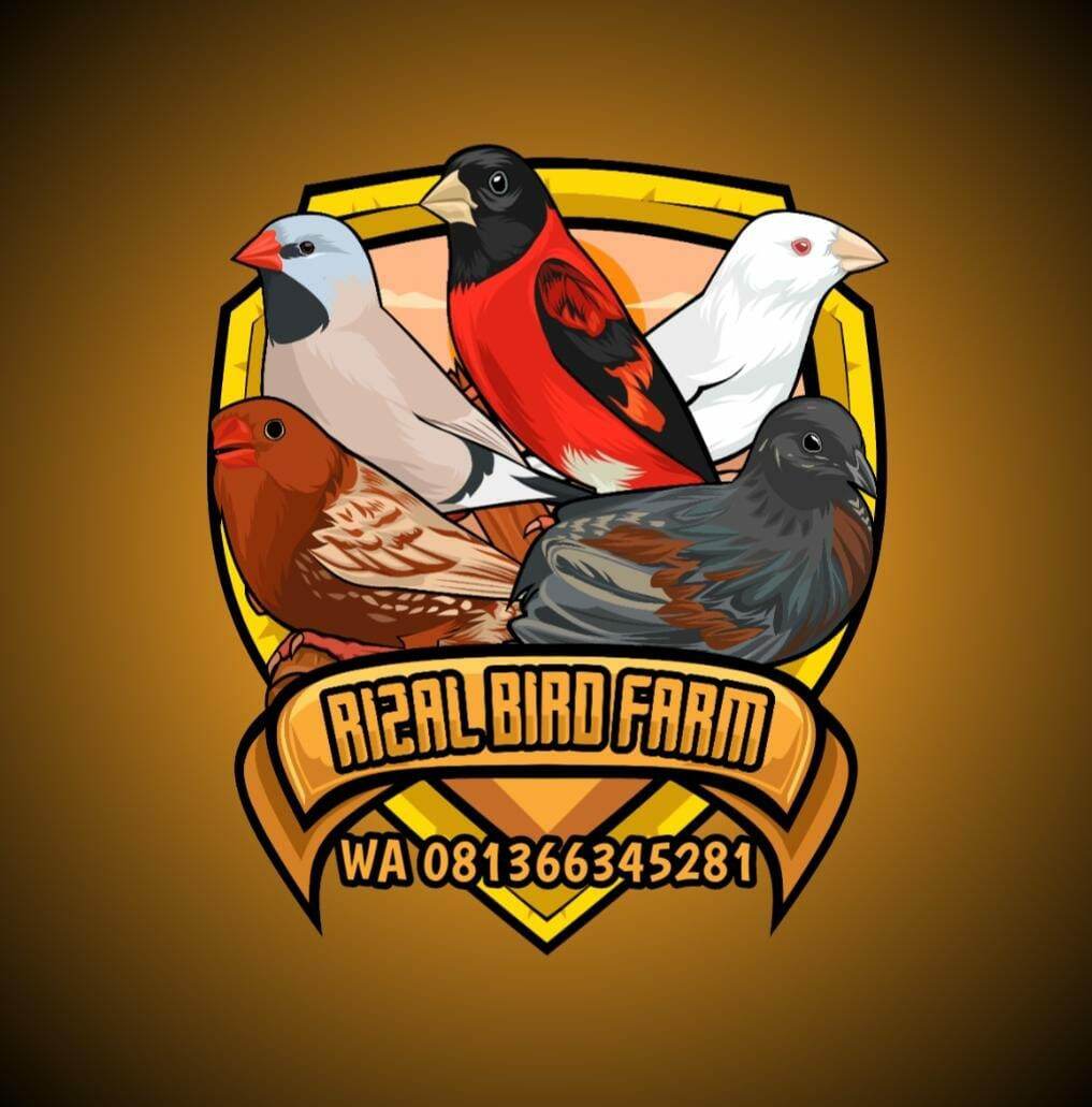 Mochamad Rizaldi Official Store di Indonesia, Online Shop 09 2024