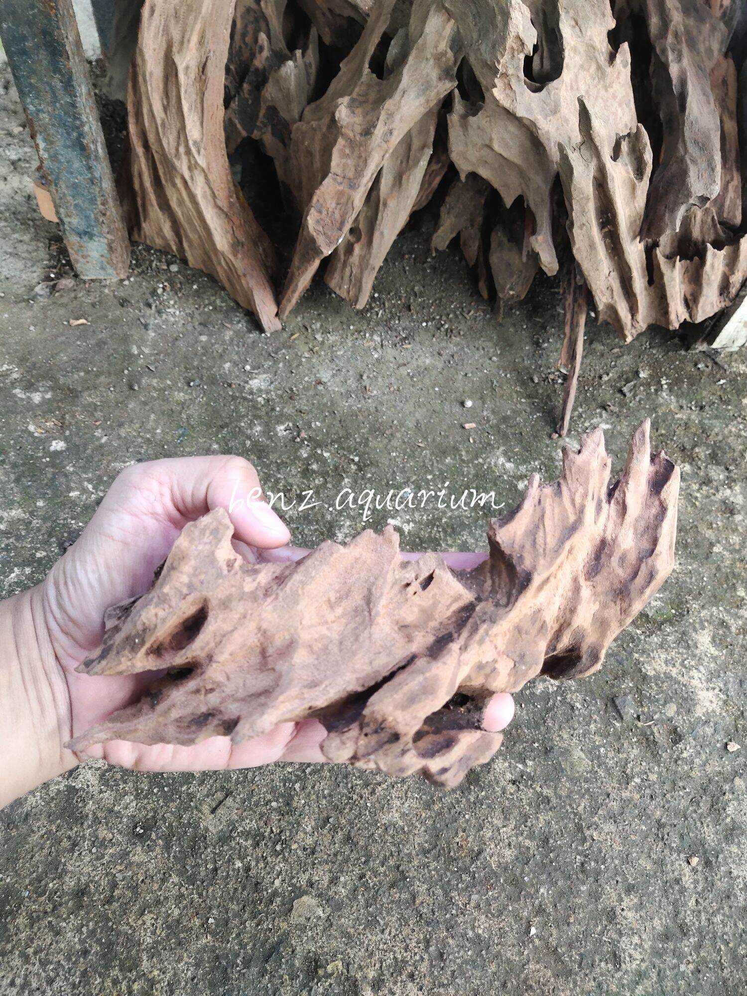 Kayu Rentek Mini Hiasan Aquascape Aquarium Mini Kayu Rentek Original ...