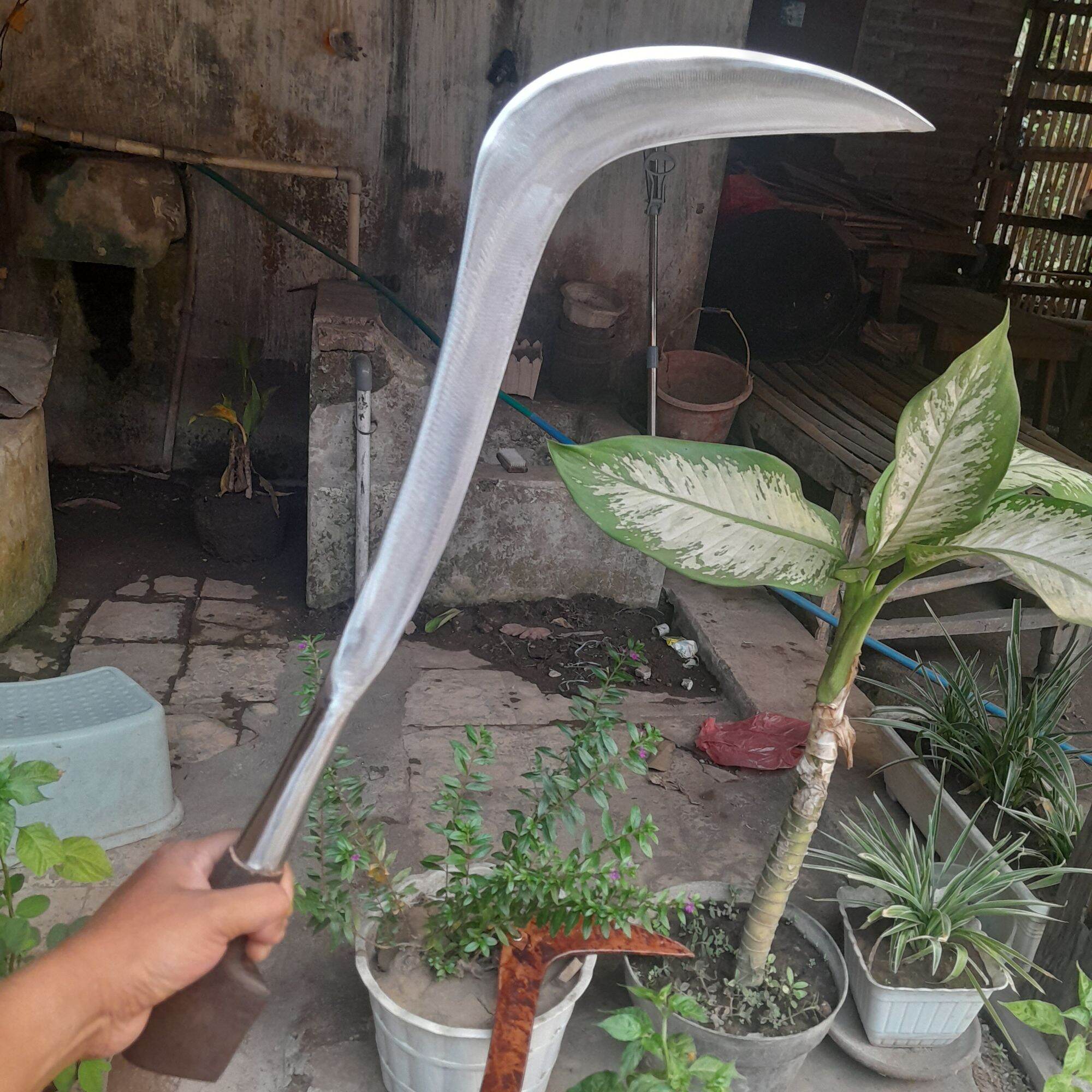 CALOK NURIDENG Kebun | Lazada Indonesia