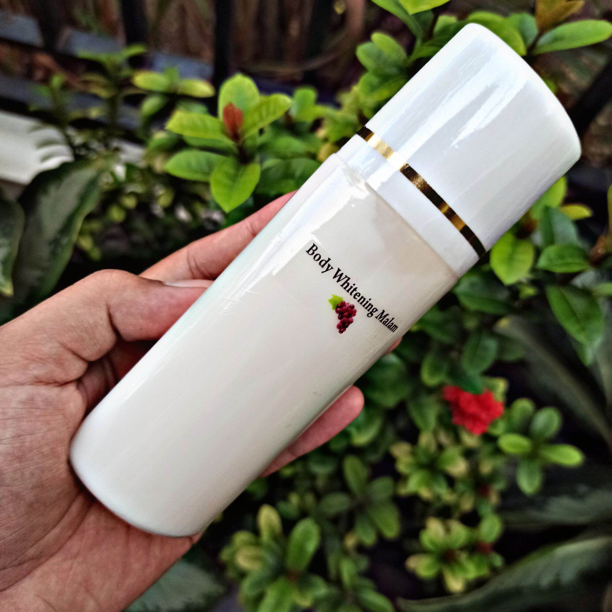 Hb anggur super dosis lanjutan original | Lazada Indonesia