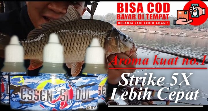 essen ikan mas aroma anyir 10ml essen Si dul