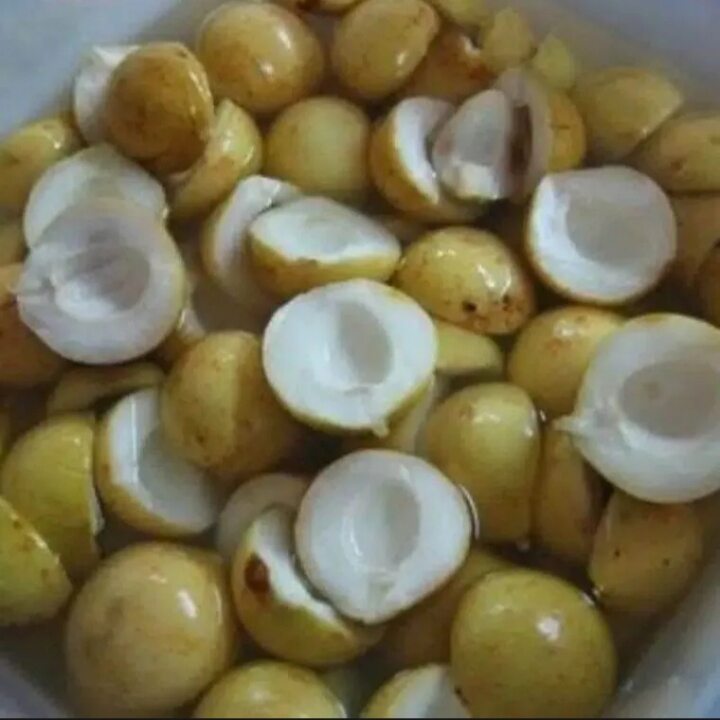 Kulit buah pala segar 1 kg | Lazada Indonesia