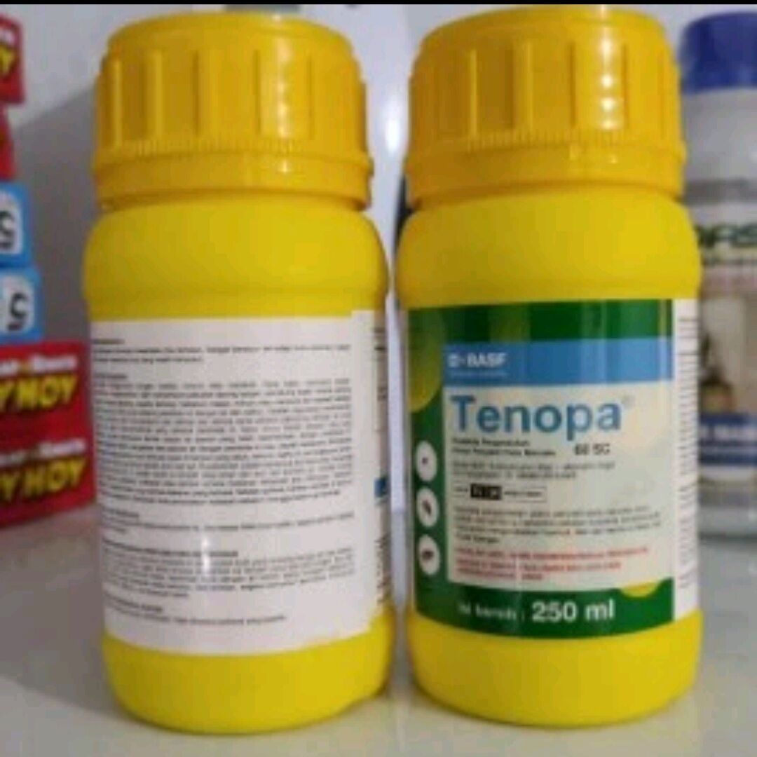 TENOPA 60 SC 250 ml,Insektisida untuk fogging | Lazada Indonesia