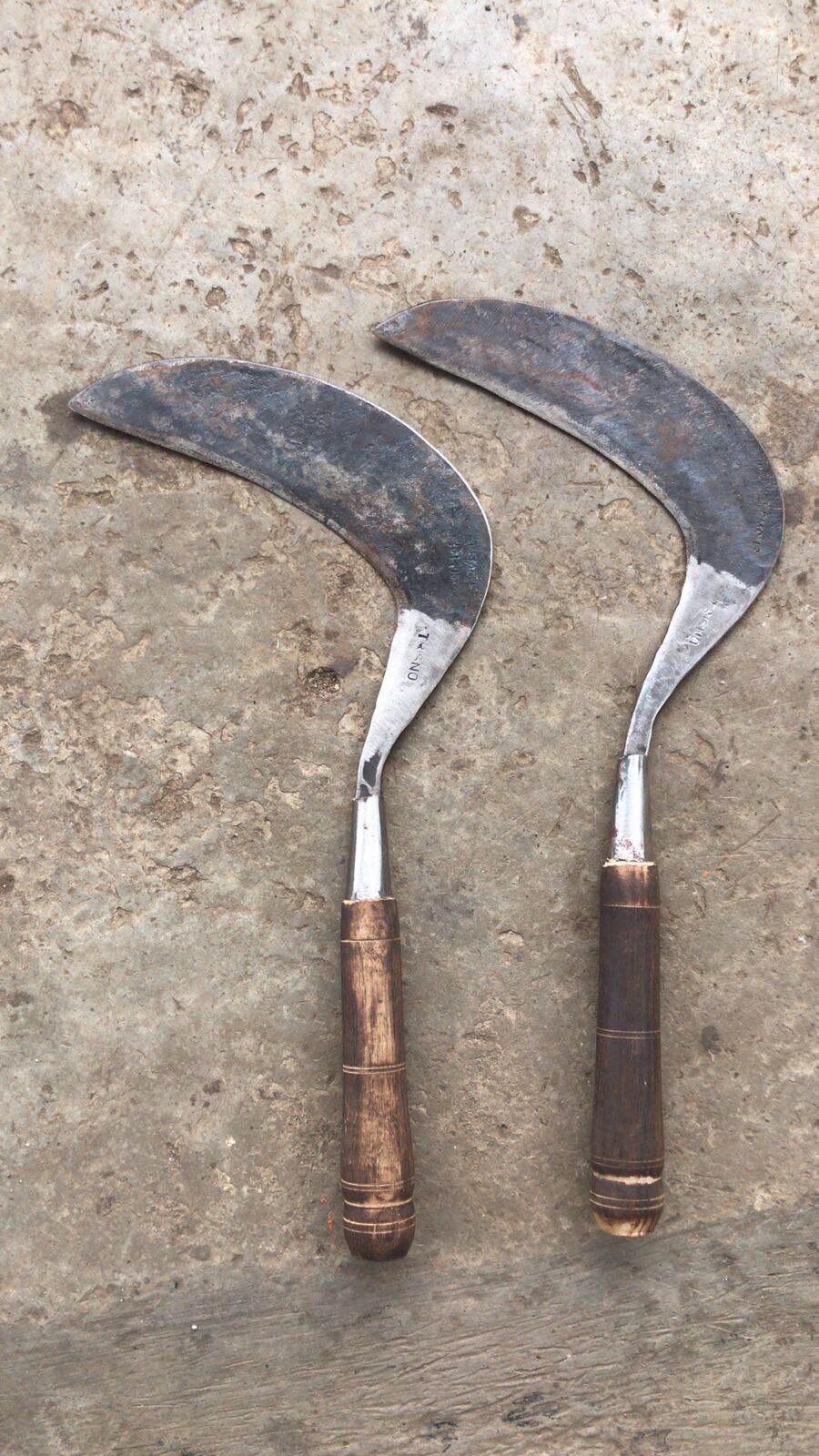 Bolo.landhep Indonesia Toko Resmi Online | Beli Sekarang di Lazada