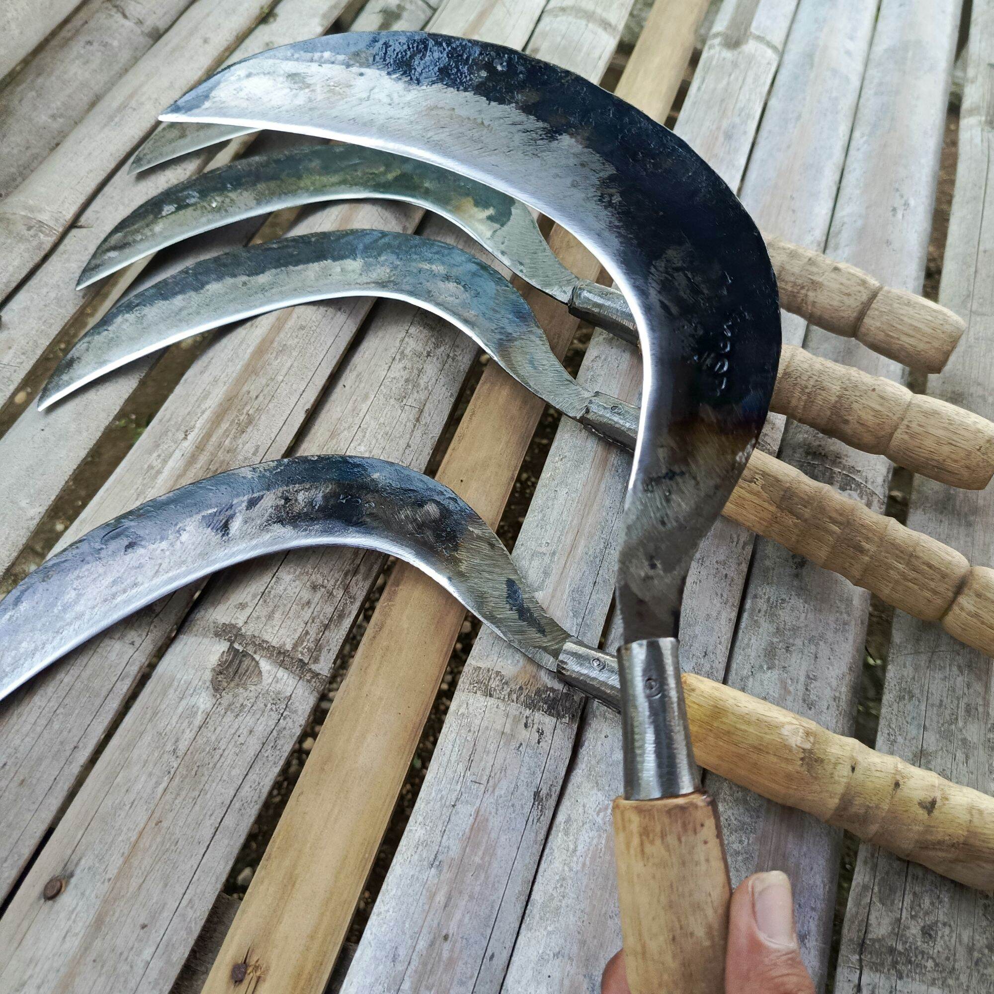 alat berkebun arit rumput sabit padi bahan baja | Lazada Indonesia