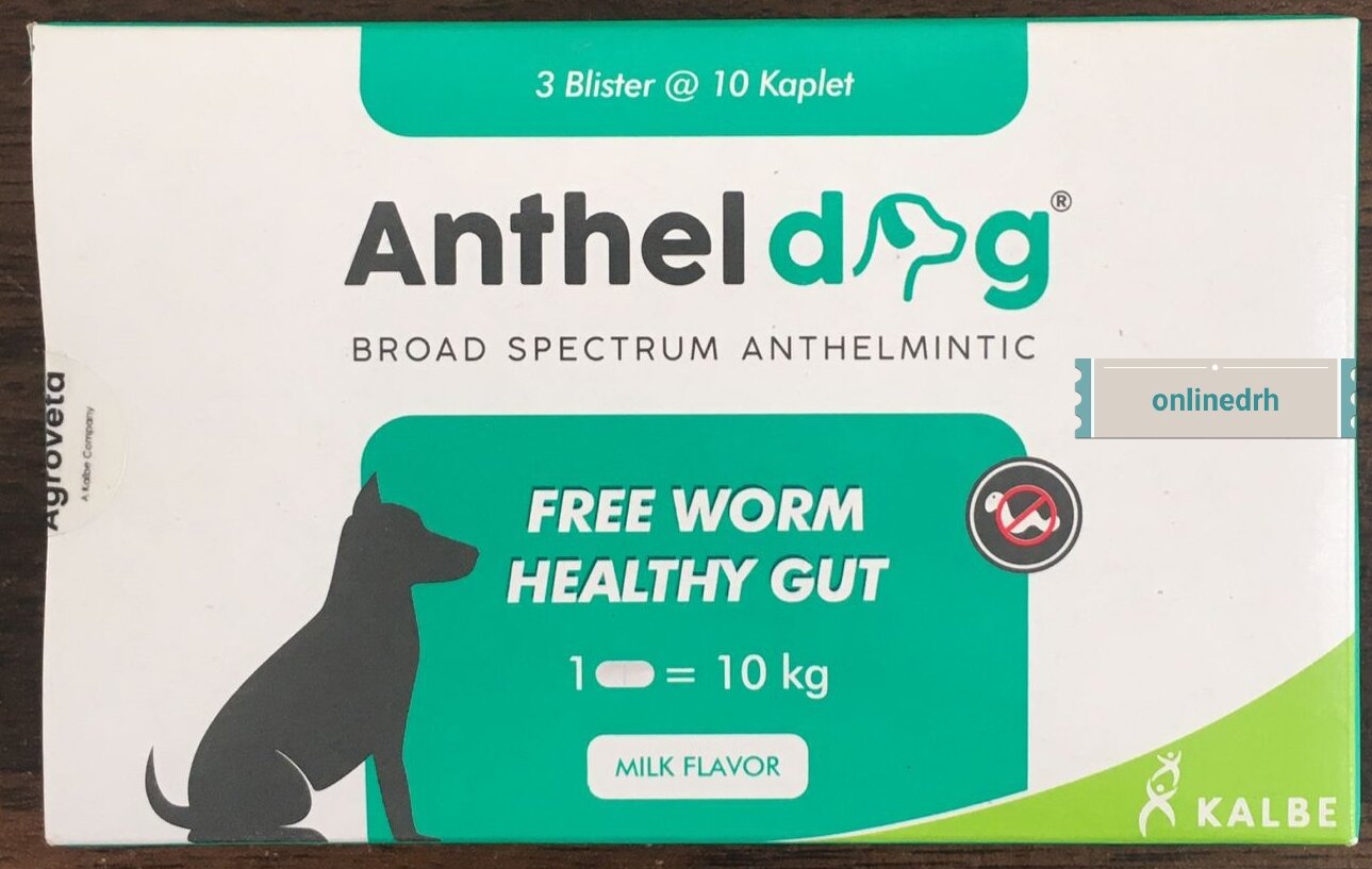 ANTHEL DOG Obat Cacing untuk Anjing 1 Tablet | Lazada Indonesia