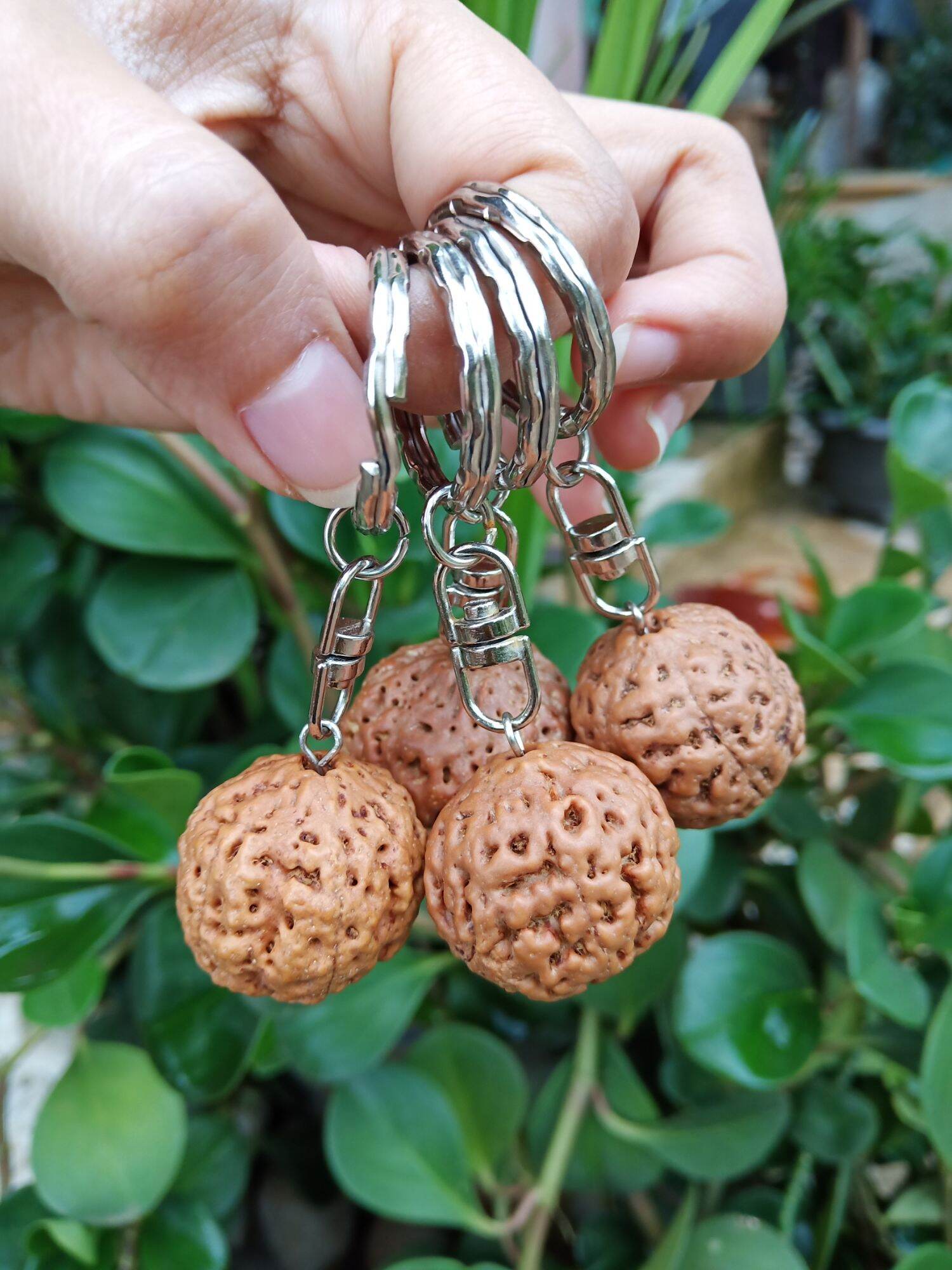 bandul kunci jenitri rudraksha bandul kunci aksesoris | Lazada Indonesia