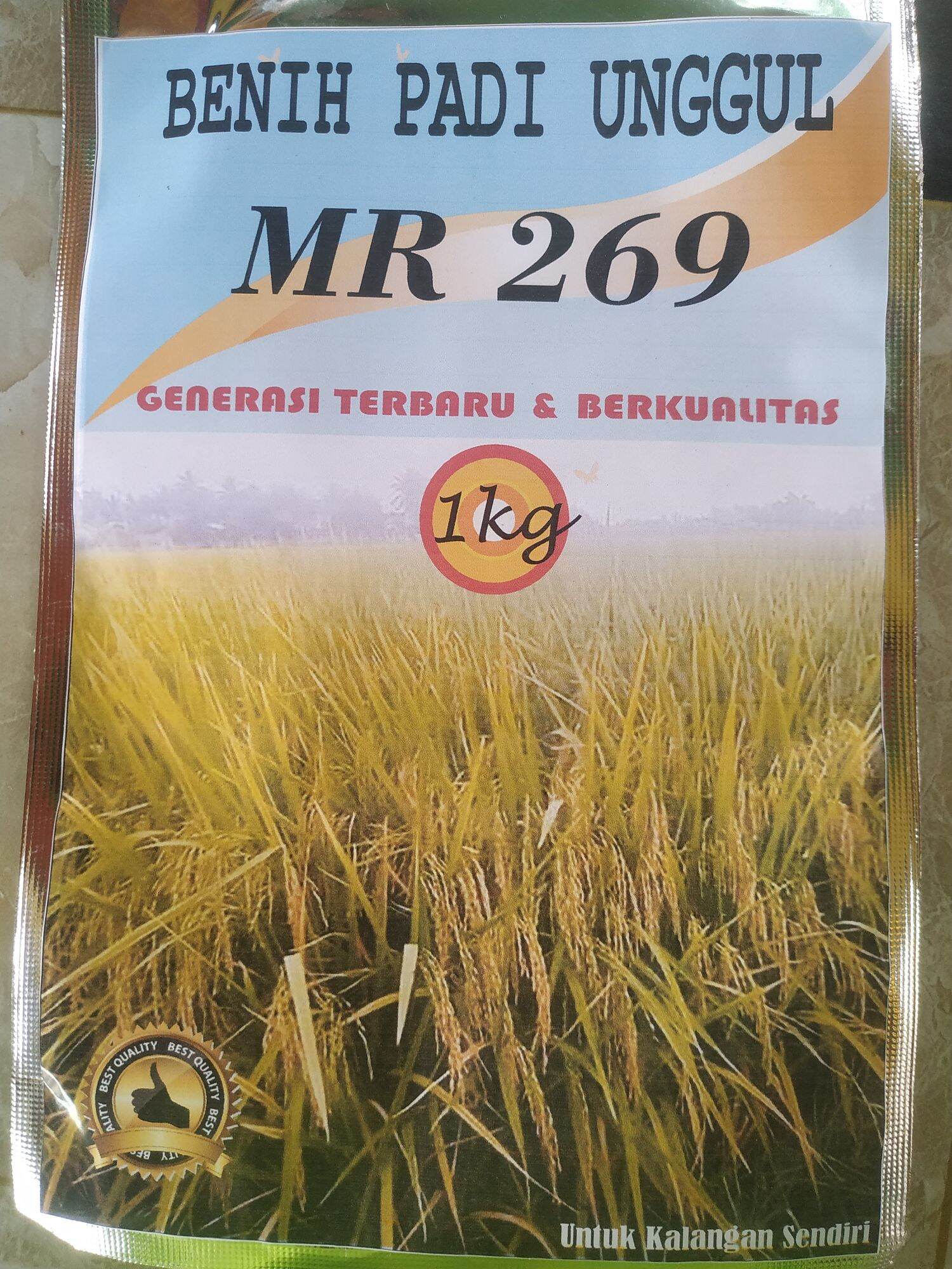 Benih padi MR 269 premium 1 kg | Lazada Indonesia