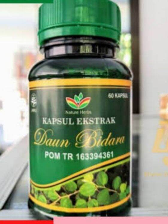 KAPSUL.EXTRAK DAUN BIDARA /bidara kapsul anti bakteri | Lazada Indonesia