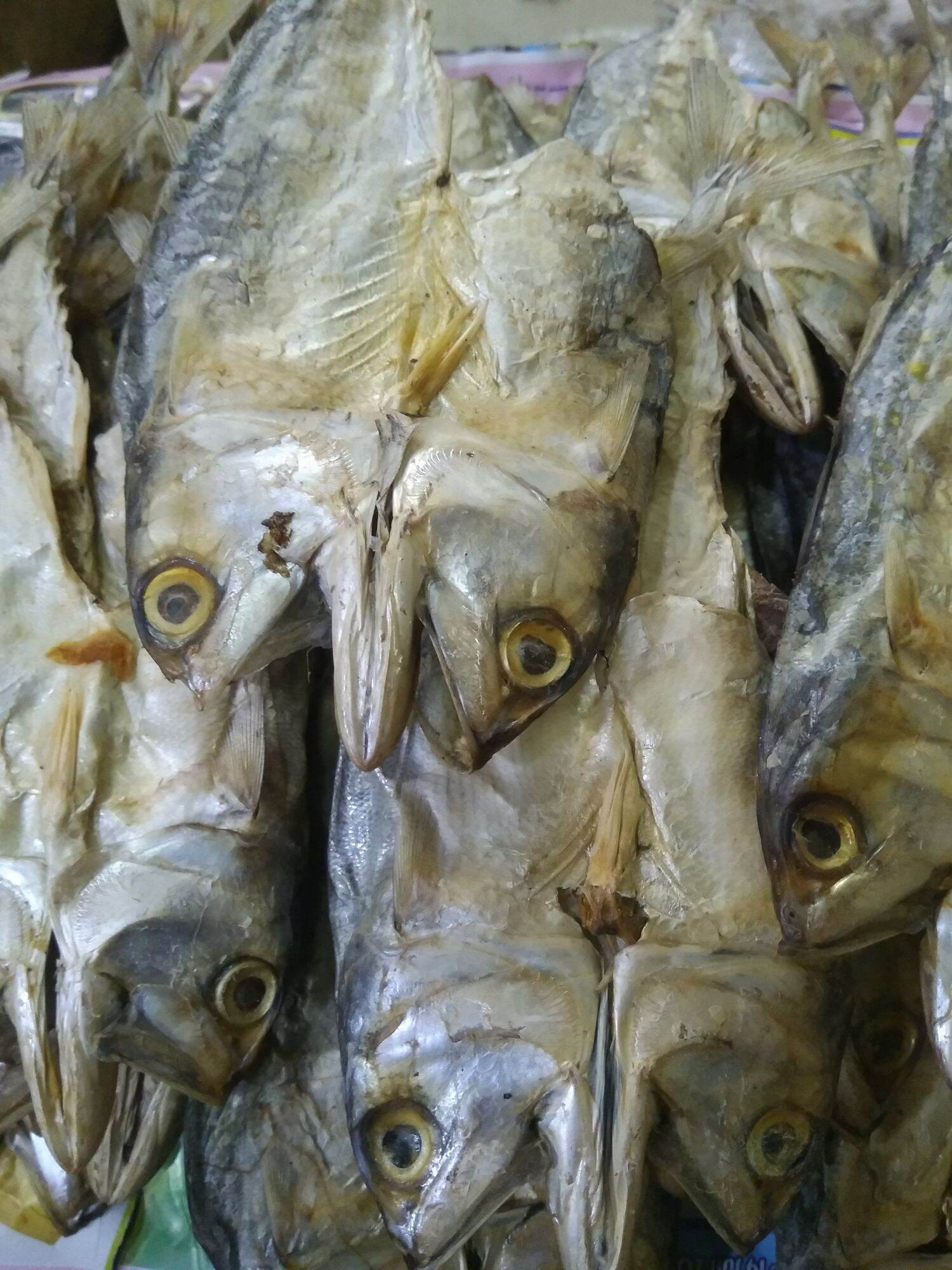 ikan Aso Aso asin 250 gram | Lazada Indonesia