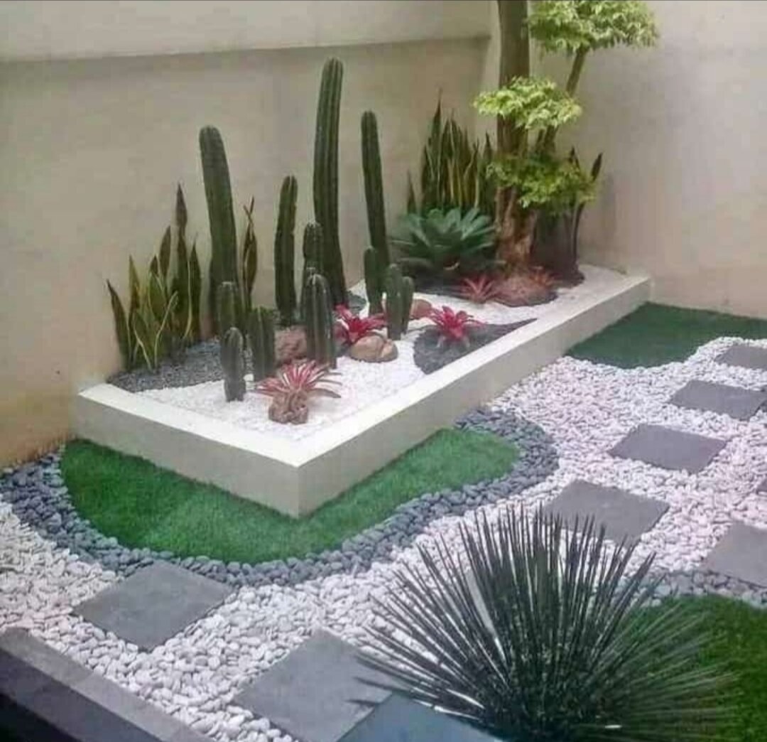 taman kering batu alam | Lazada Indonesia