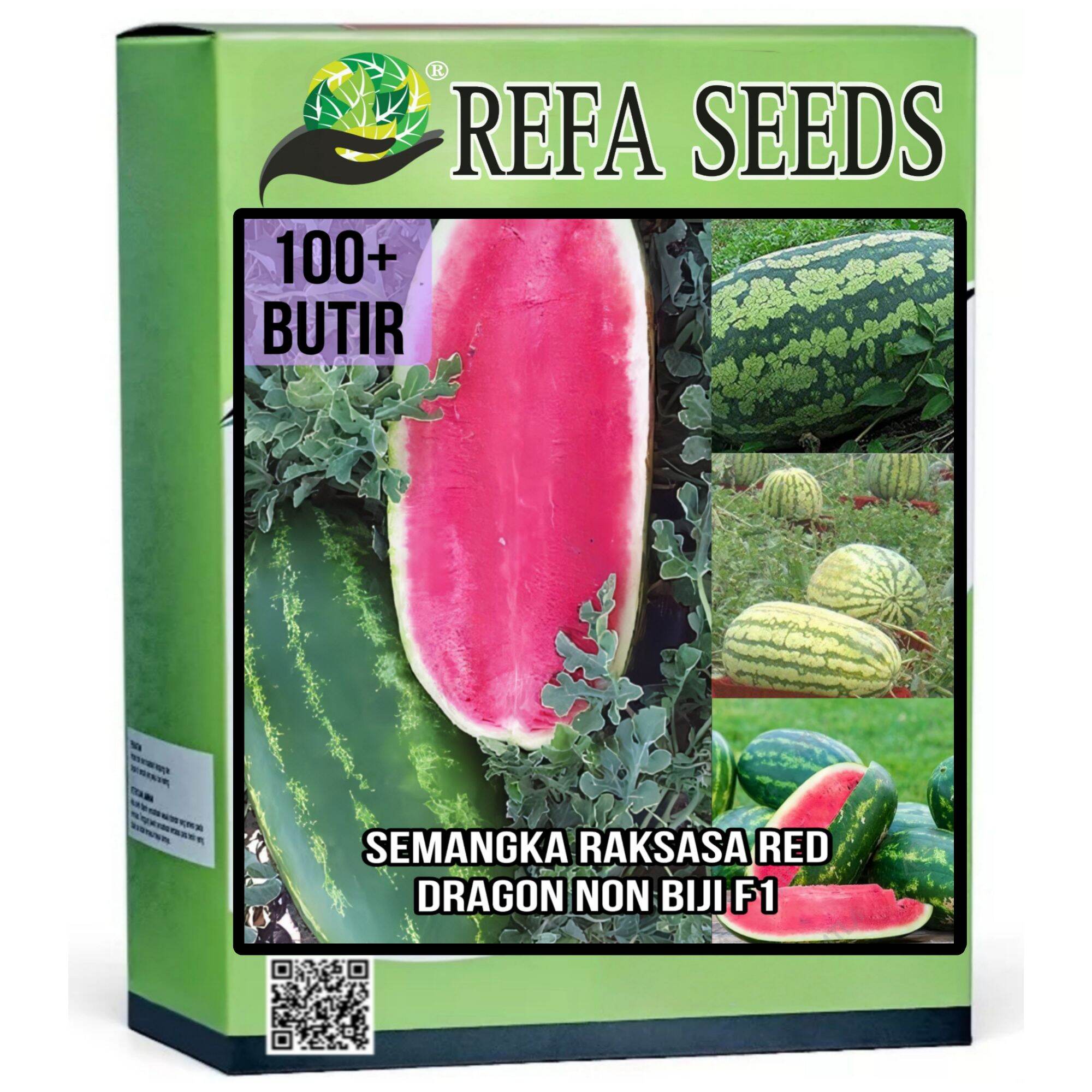 Isi 100 Benih Buah Semangka Raksasa Red Dragon F1 Original / biji ... Isi 100 Benih Buah Semangka Raksasa Red Dragon F1 Original / biji ...