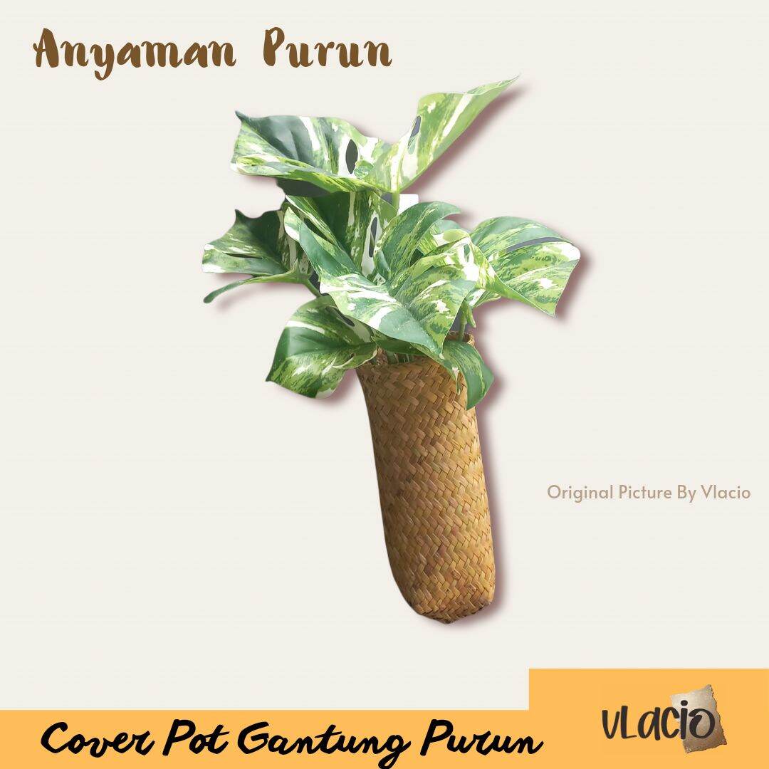 VLacio Keranjang Gantung Seagras Cover Pot Anyaman Rumput Purun Asli ...
