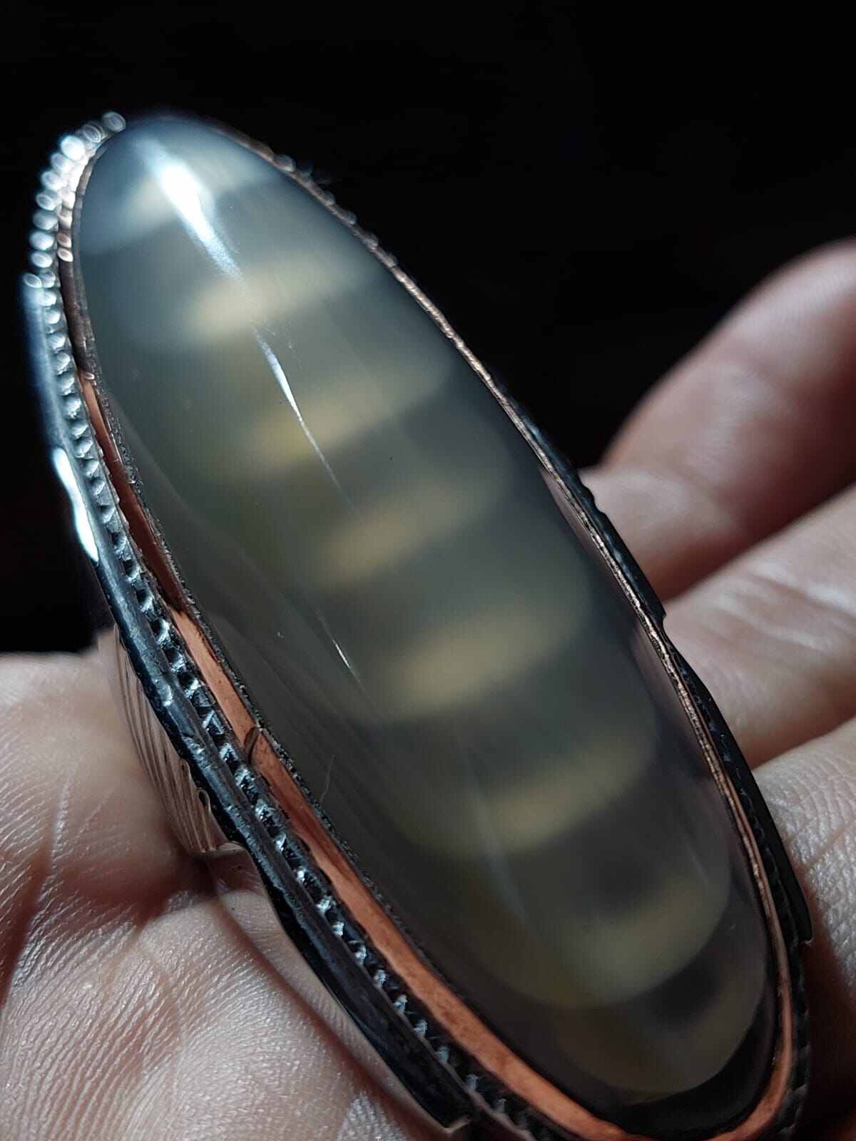 Pandan sisik arwana | Lazada Indonesia Pandan sisik arwana | Lazada Indonesia