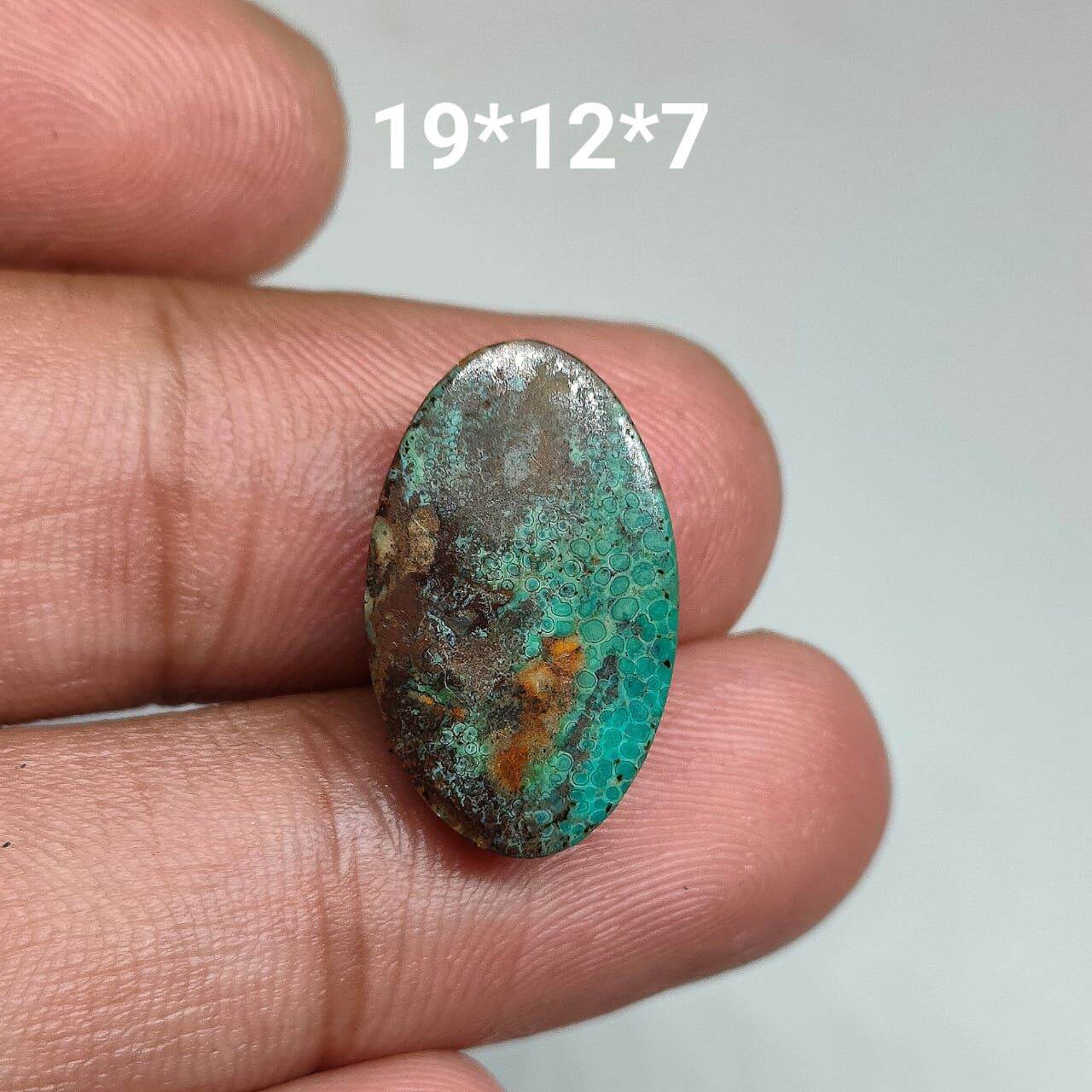 NATURAL PIRUS PERSIA, PIRUS IRAN, PIRUS URAT EMAS | Lazada Indonesia