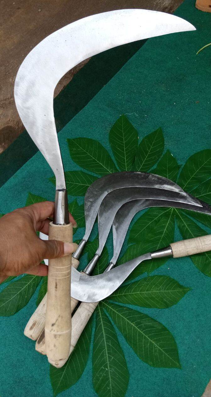 SUPER KEREN TERBARU - Sabit Madura 37 Cm / Sabit Madura / Alat ...