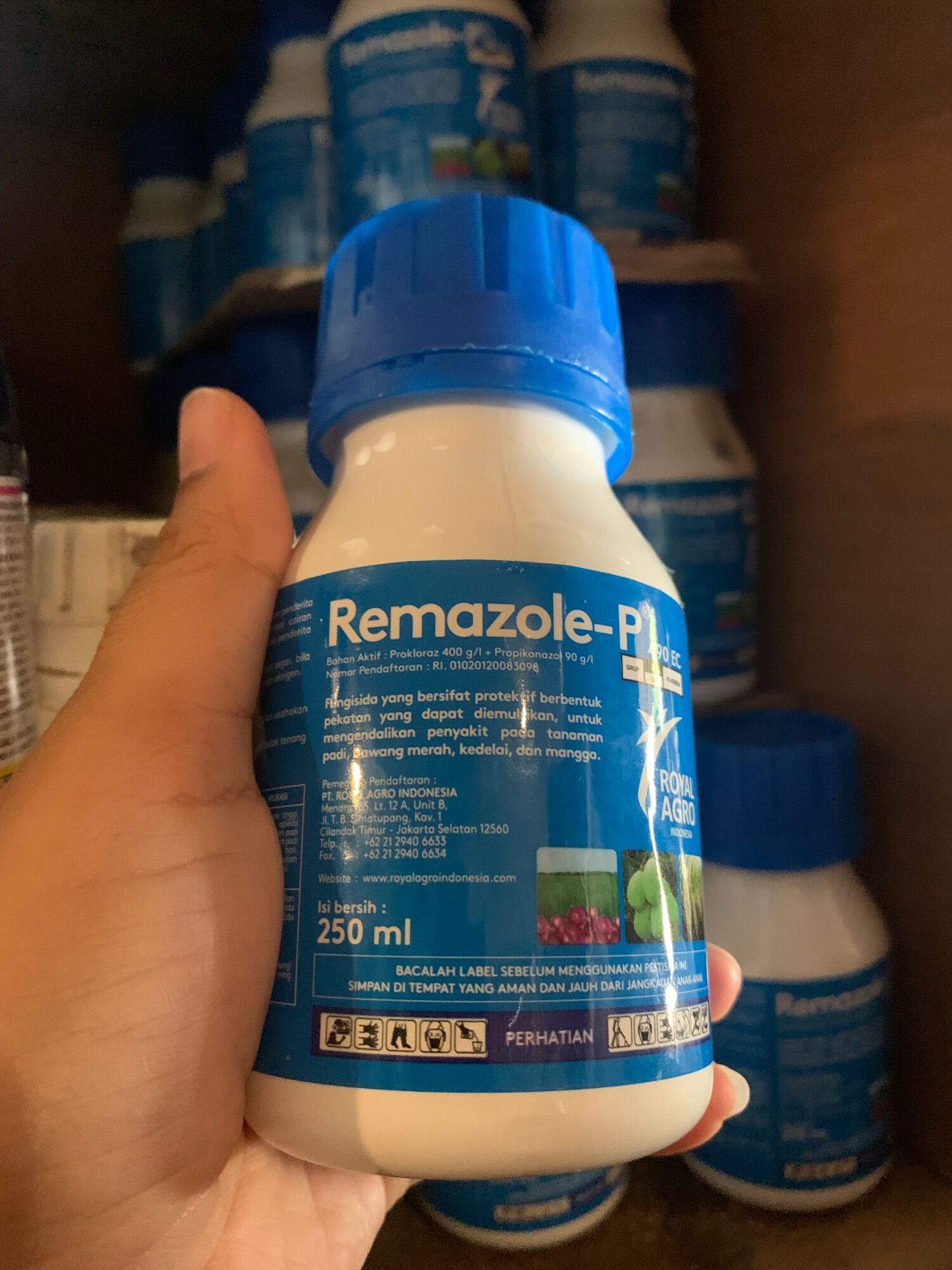 REMAZOLE-P 490EC (250ml) FUNGISIDA YANG BERFUNGSI UNTUK MENGENDALIKAN ...
