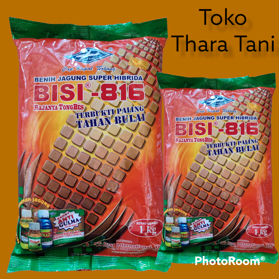 Benih jagung hibrida Bisi 816 kemasan 1kg | Lazada Indonesia