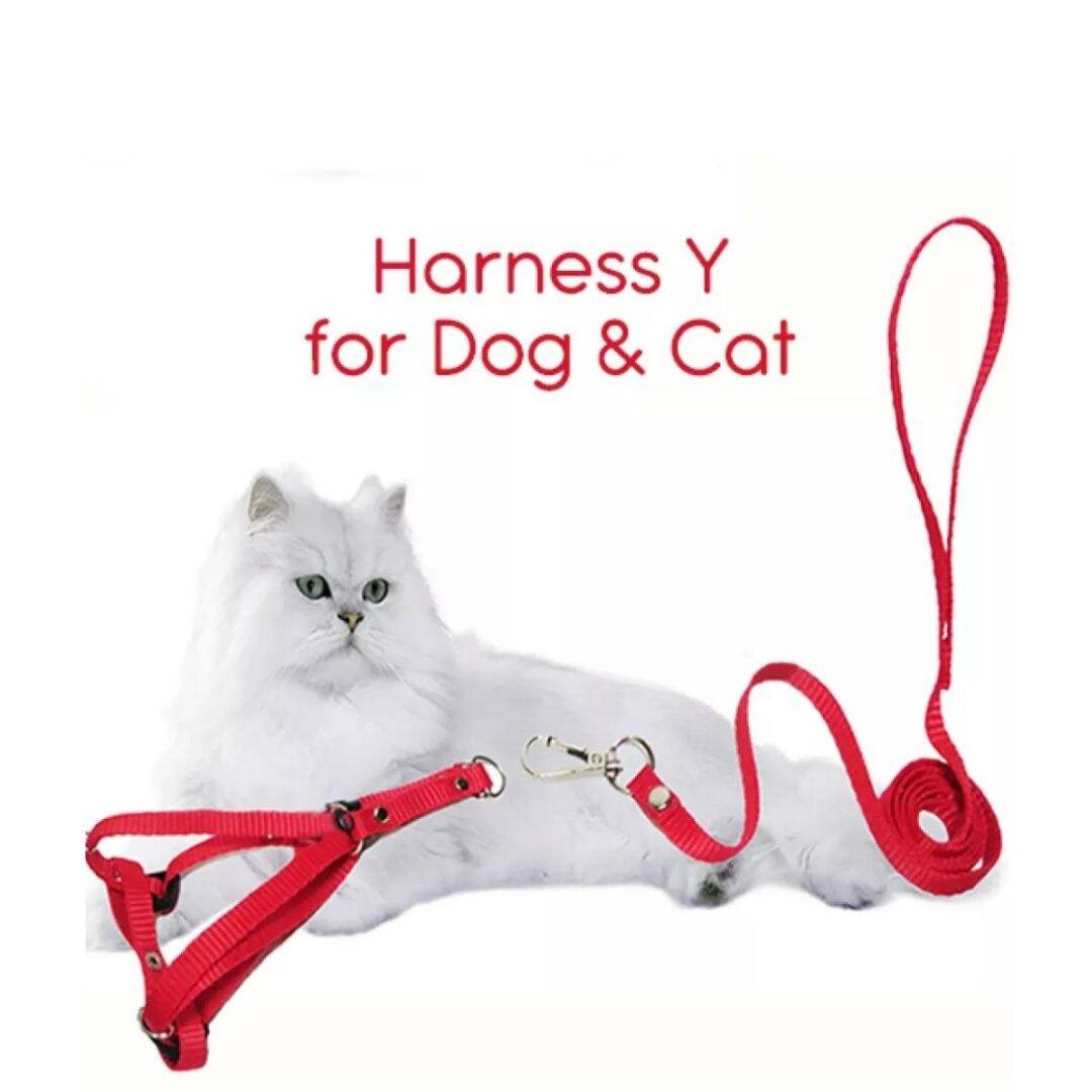Harness Kucing Tipe Y - Tali tuntun Harness Penuntun Badan Hewan Kucing ...