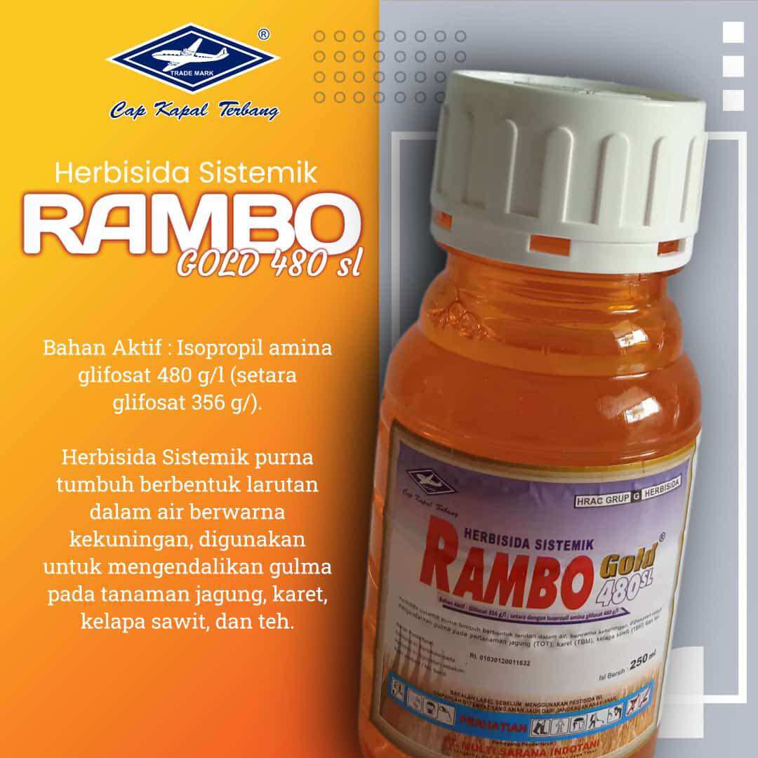 OBAT RUMPUT AKAR AMPUH HERBISIDA SISTEMIK RAMBO GOLD 480SL | Lazada ...
