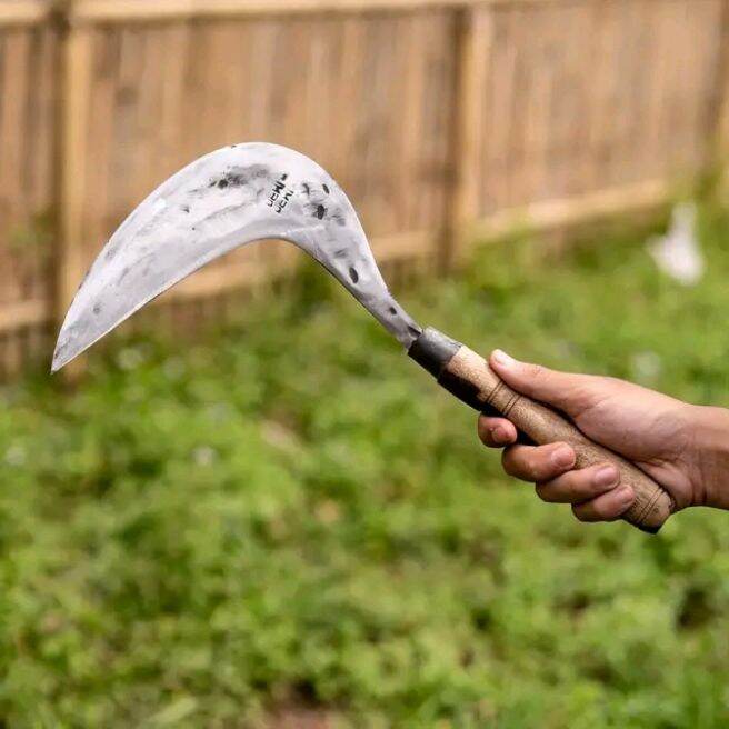 SABIT ARIT RUMPUT ARIT RAMBAN BAJA ASLI SUPER TAJAM | Lazada Indonesia