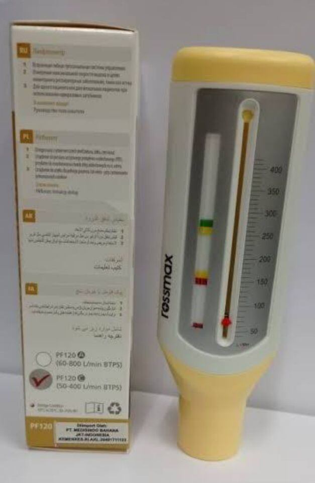 Alat Cek Asma Pada Anak/Rossmax Peak Flow Meter PF 120C | Lazada Indonesia