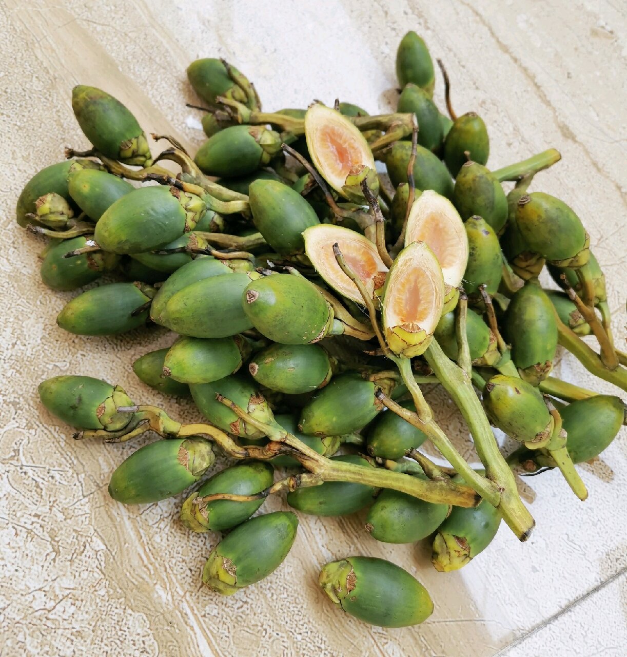 buah pinang muda 1 kg | Lazada Indonesia