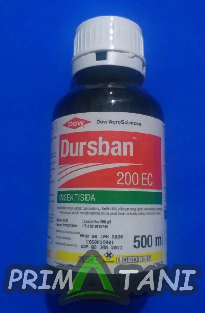 Insektisida Dursban 200ec 500ml | Lazada Indonesia