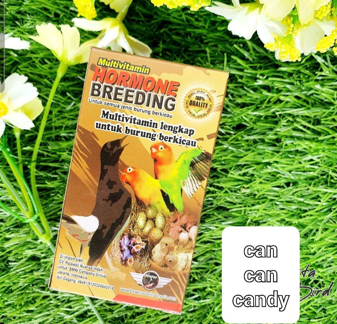 hormone breeding bmw multivitamin bmw vitamin kawin birahi ternak obat ...