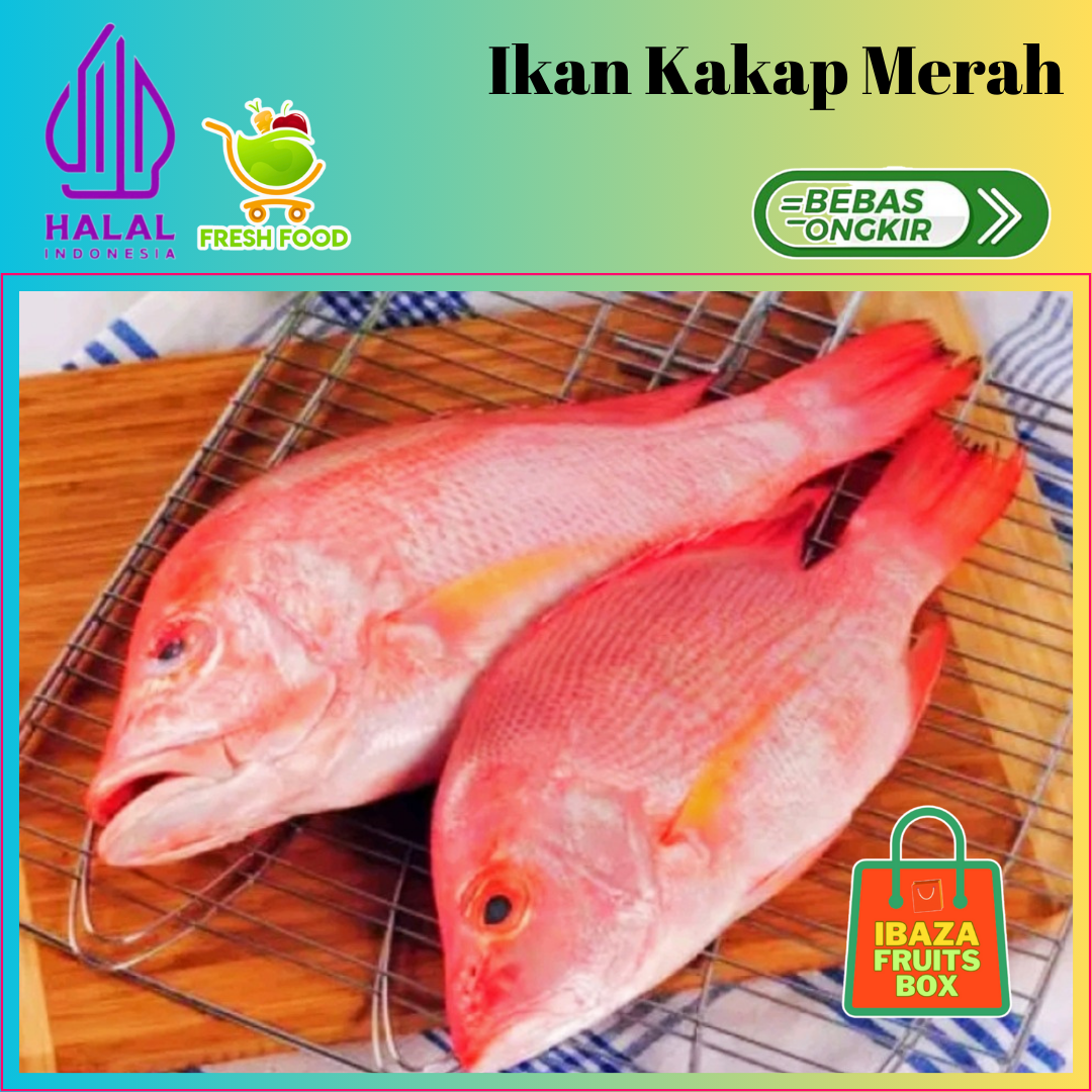 Ikan Kakap Merah Ikan Segar IBAZA fruitsBOX | Lazada Indonesia