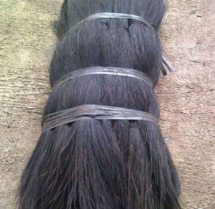 Ijuk resapan 1kg | Lazada Indonesia